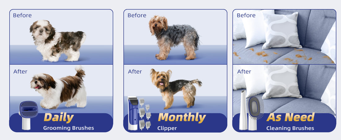 Buenkee Dog Grooming Kit with Pet Grooming Vacuum, Dog Clipper, Pet Gr